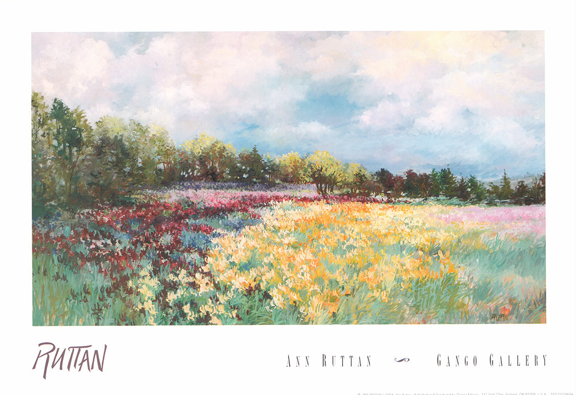 Iris Festival, 1994 by Ann Ruttan - 11 X 16 Inches (Art Print ...