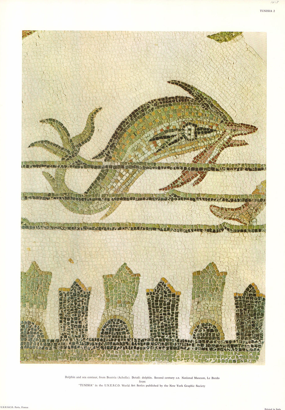 Tunisia - Dolphin and Sea Centaur, from Boutria - 13 X 19 Inches (Offs ...