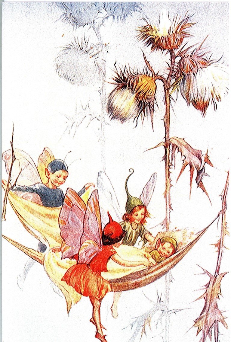 Thistledown, 1935 by Margaret Winifred Tarrant - 5X7" (Greeting Cards ...