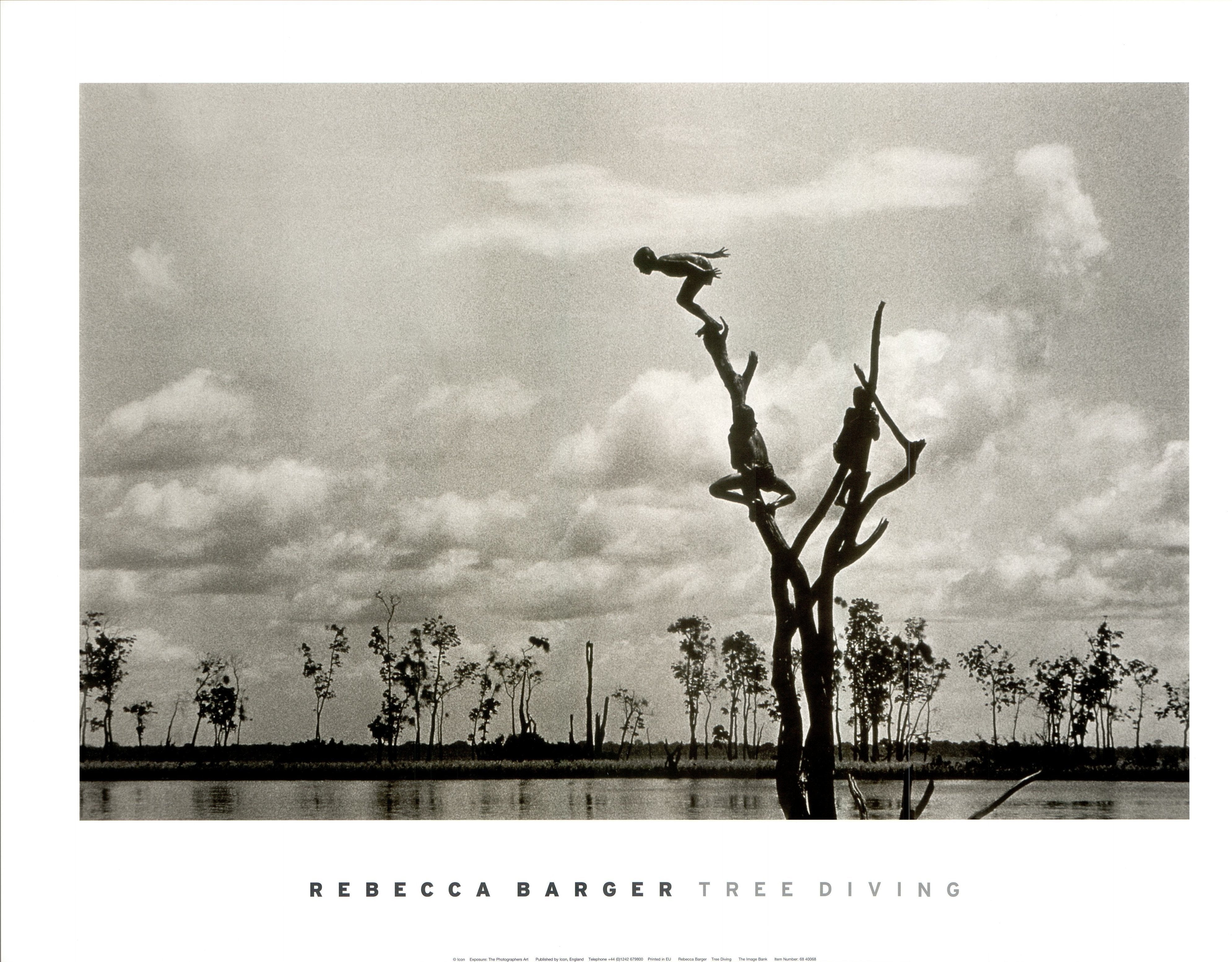 Tree Diving by Keith Carter - 24 X 32 Inches (Art Print) – Artistica ...