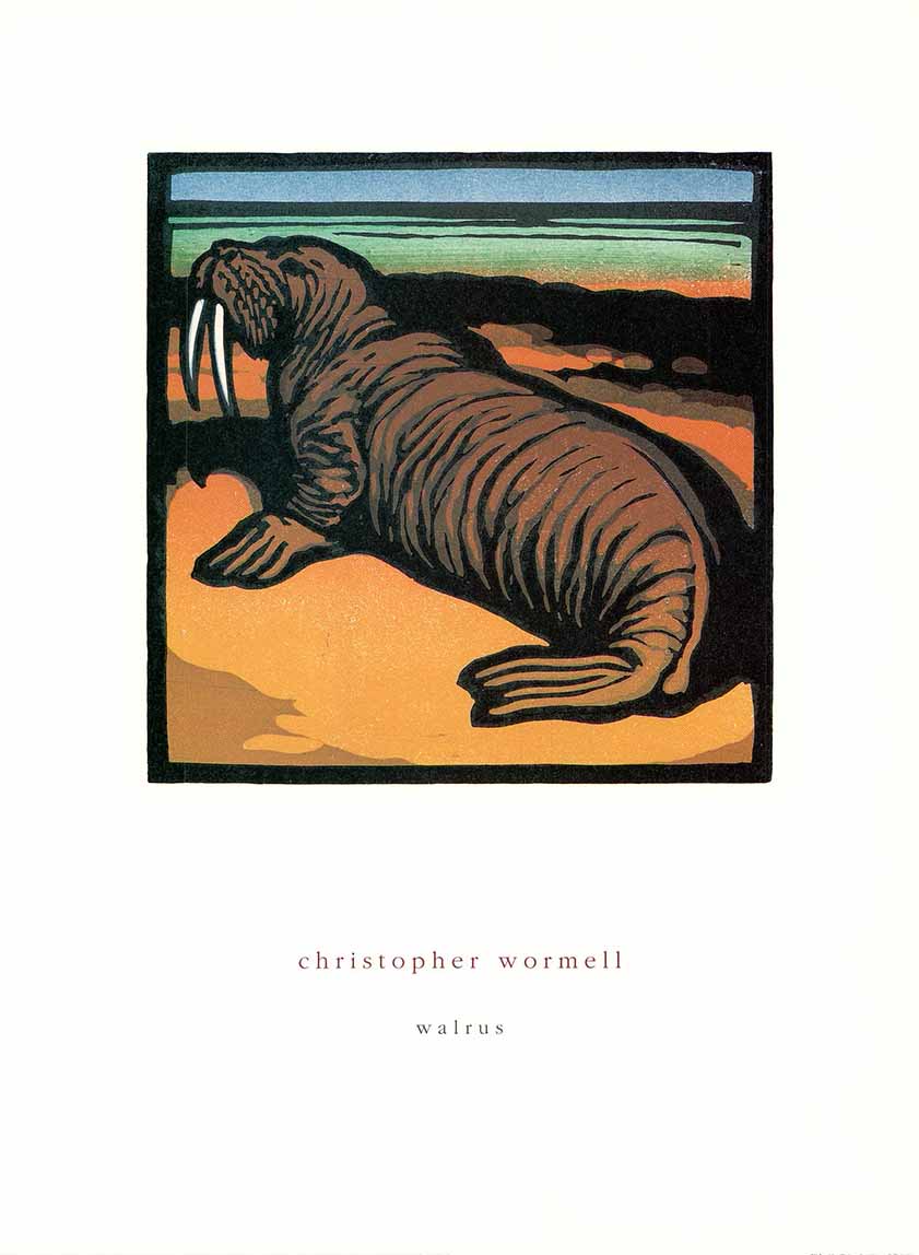 Walrus by Christopher Wormell - 12 X 16 Inches (Offset Lithograph ...