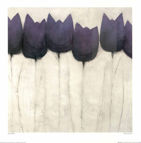 Tulipa Group 4 by Scott Olson - 24 X 24 Inches (Art Print) – Artistica ...