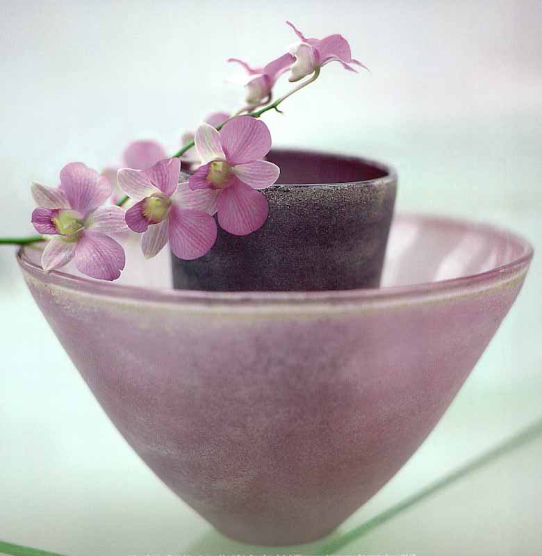 Orchids, 2006 by H Orth - 12 X 12 Inches (Art Print) – Artistica Fine Art