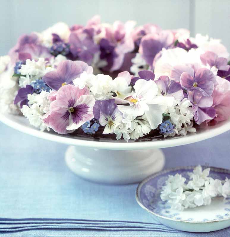 Appletree Branch, 2006 by Konstantin Eulenburg - 12 X 12" (Art Print ...