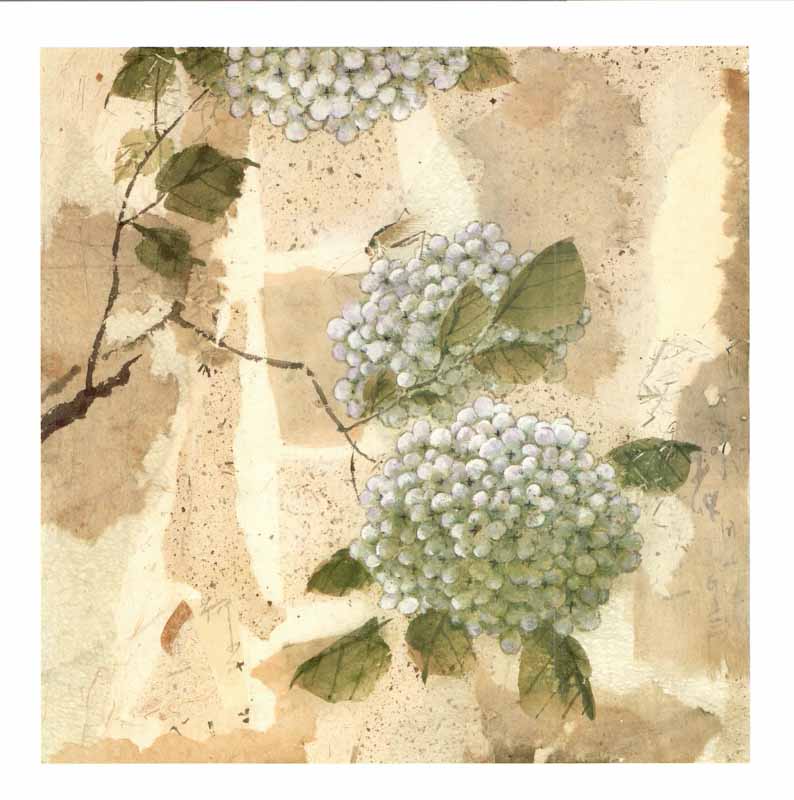 The Grasshopper by David Hu - 14 X 14 Inches (Art Print) – Artistica ...