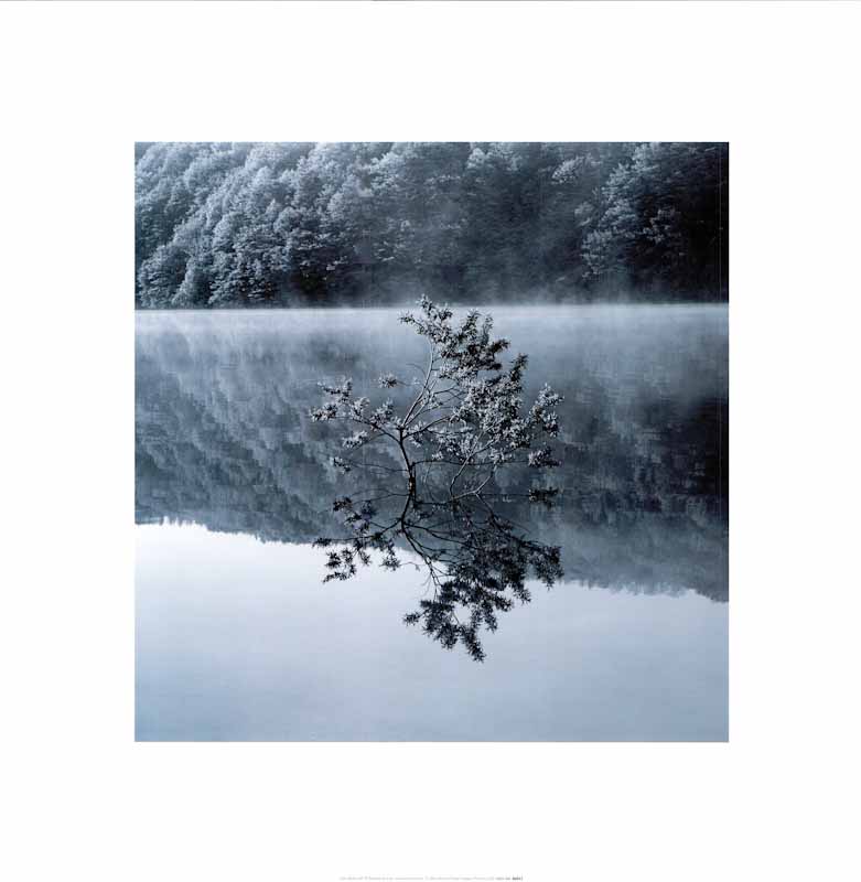Zen Water 2 - 20 X 20 Inches (Art Print) – Artistica Fine Art