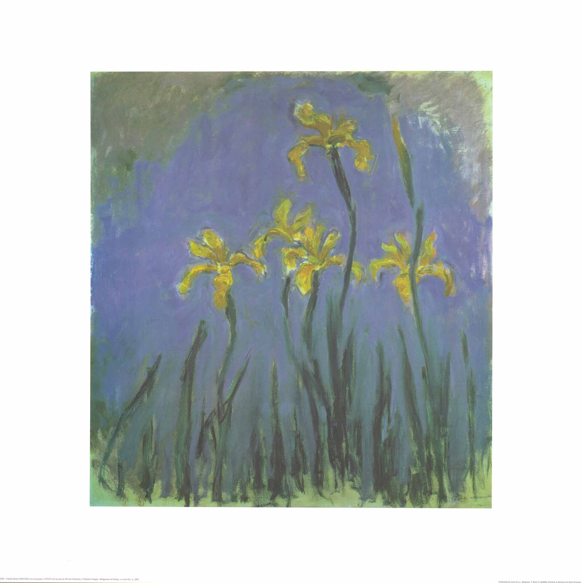 Les Iris Jaunes, 1918-25 by Claude Monet -27 X 27 Inches (Watercolour ...