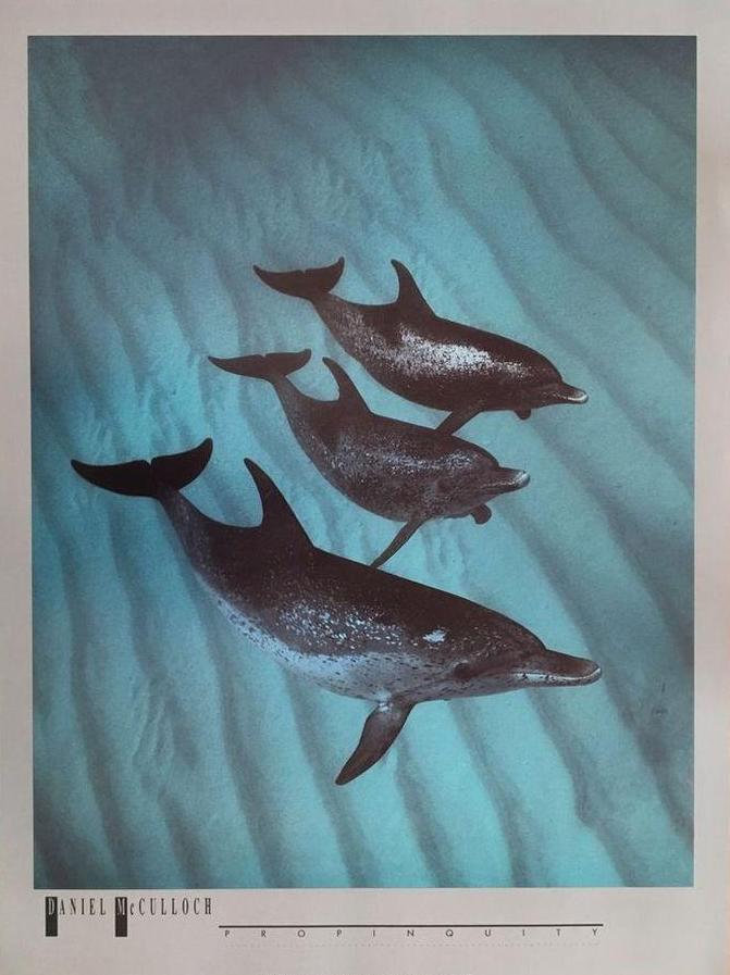 Propinquity by Daniel McCulloch - 24 X 32 Inches (Art Print ...