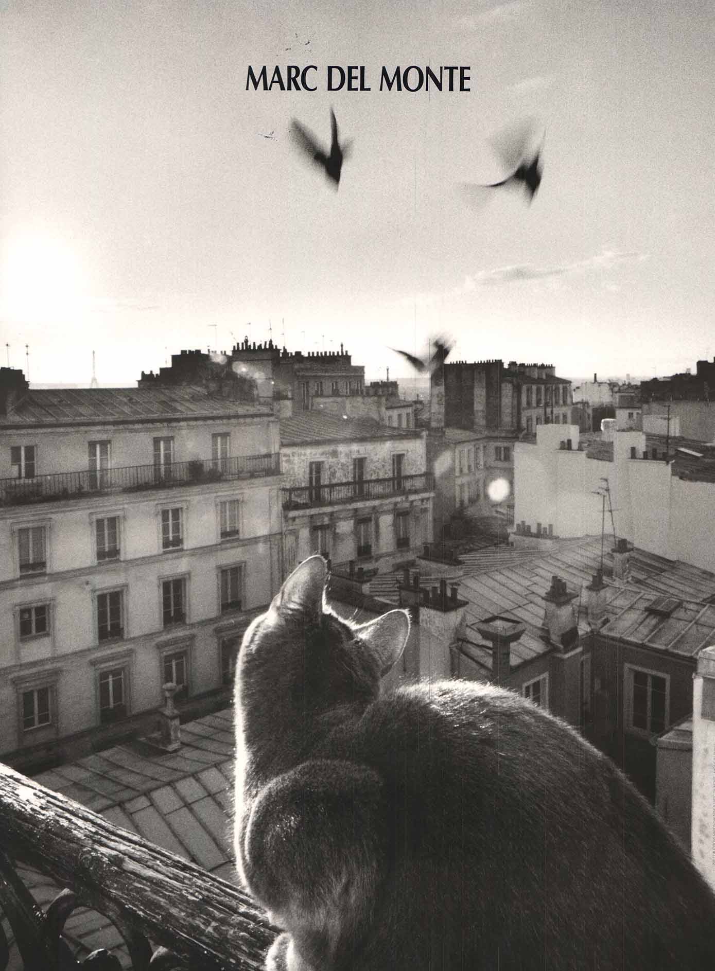 Hungry Cat by Marc Del Monte - 20 X 28 Inches (Art Print) – Artistica ...