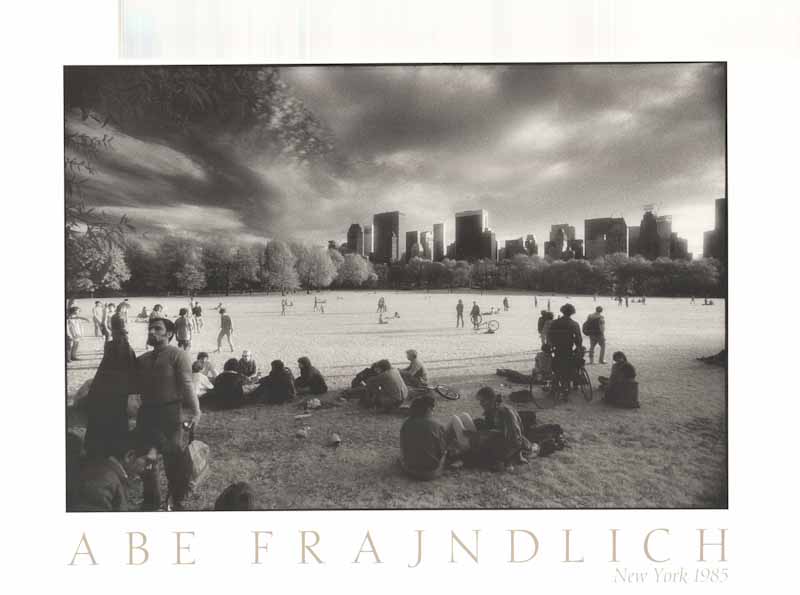 Central Park, New York, 1985 by Abe Frajndlich - 24 X 32" (Art Print ...