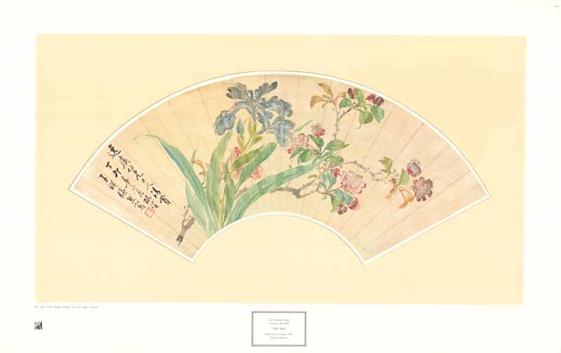 The Iris by Tzu-Hsiang Chang - 19 X 29 Inches (Art Print) – Artistica ...