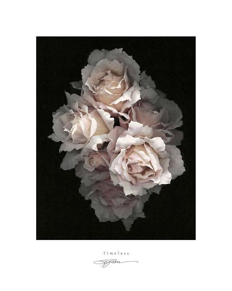 Timeless by S. G. Rose - 16 X 20 Inches (Art Print) – Artistica Fine Art