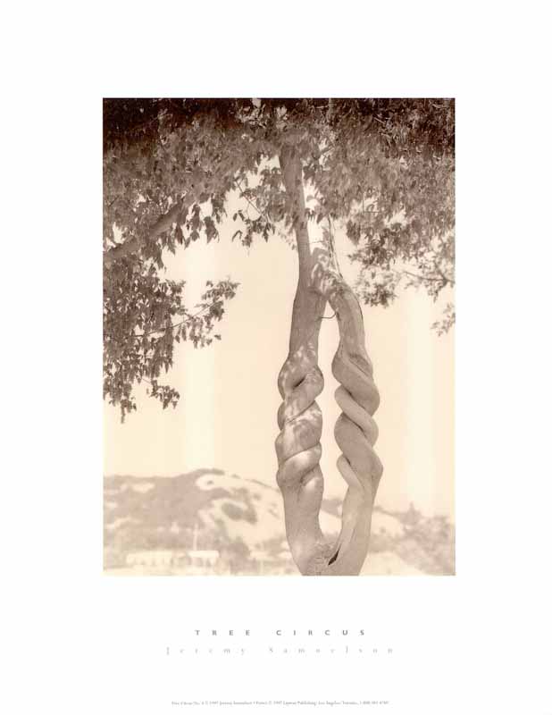 Tree Circus IV by Jeremy Samuelson - 11 X 14 Inches (Art Print ...