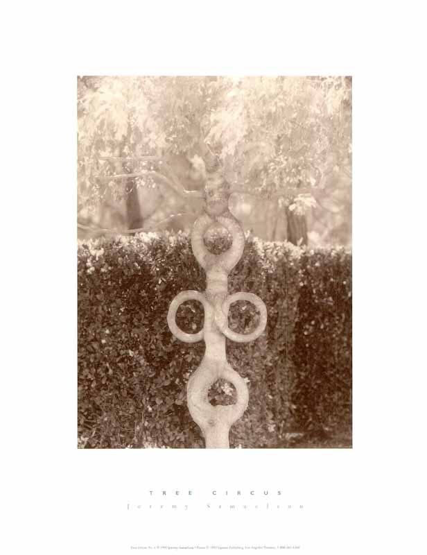 Tree Circus V by Jeremy Samuelson - 11 X 14 Inches (Art Print ...