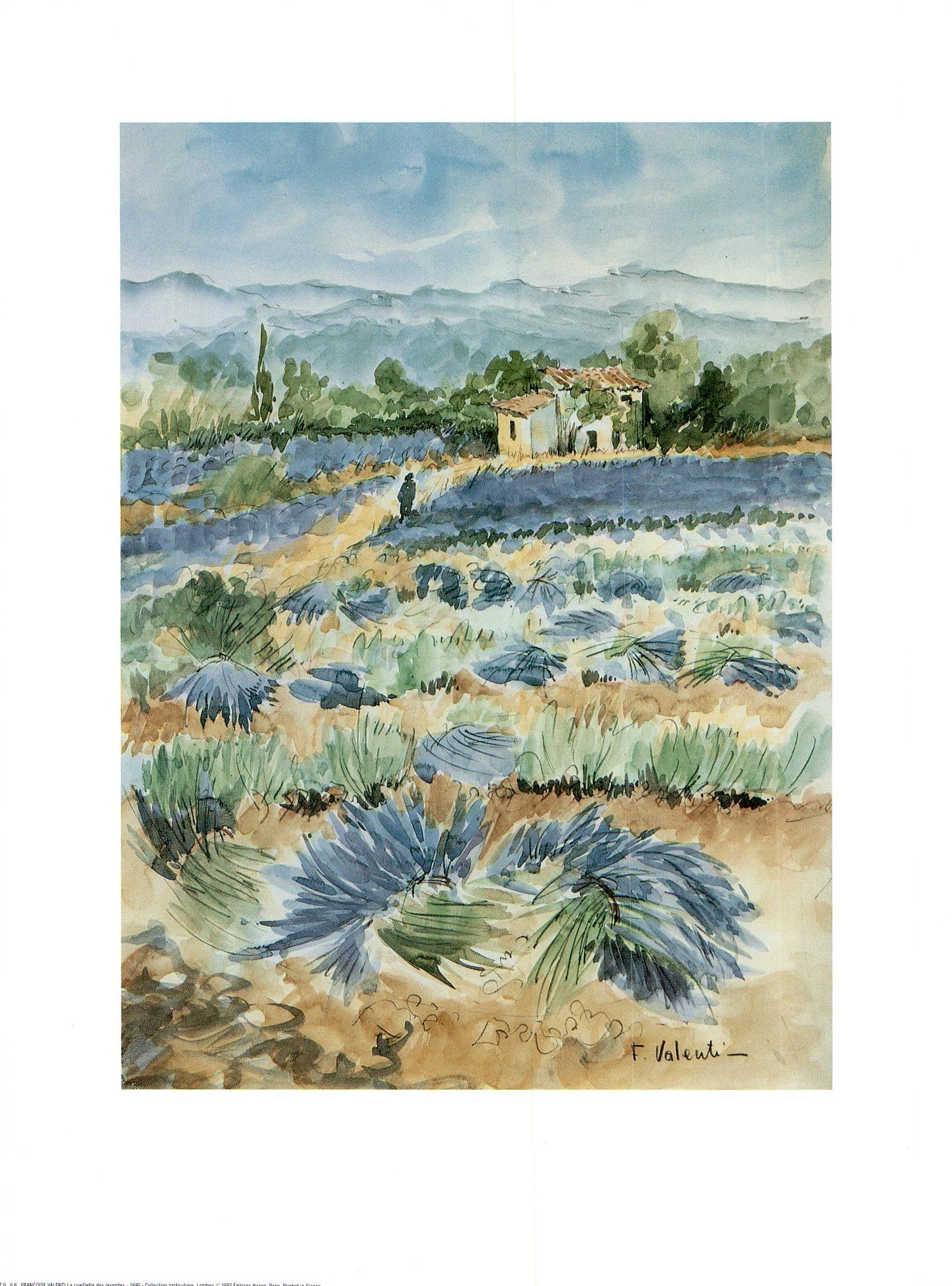 La Cueillette des Lavandes,1990 by Francois Valenti-12X16''(Art Print ...