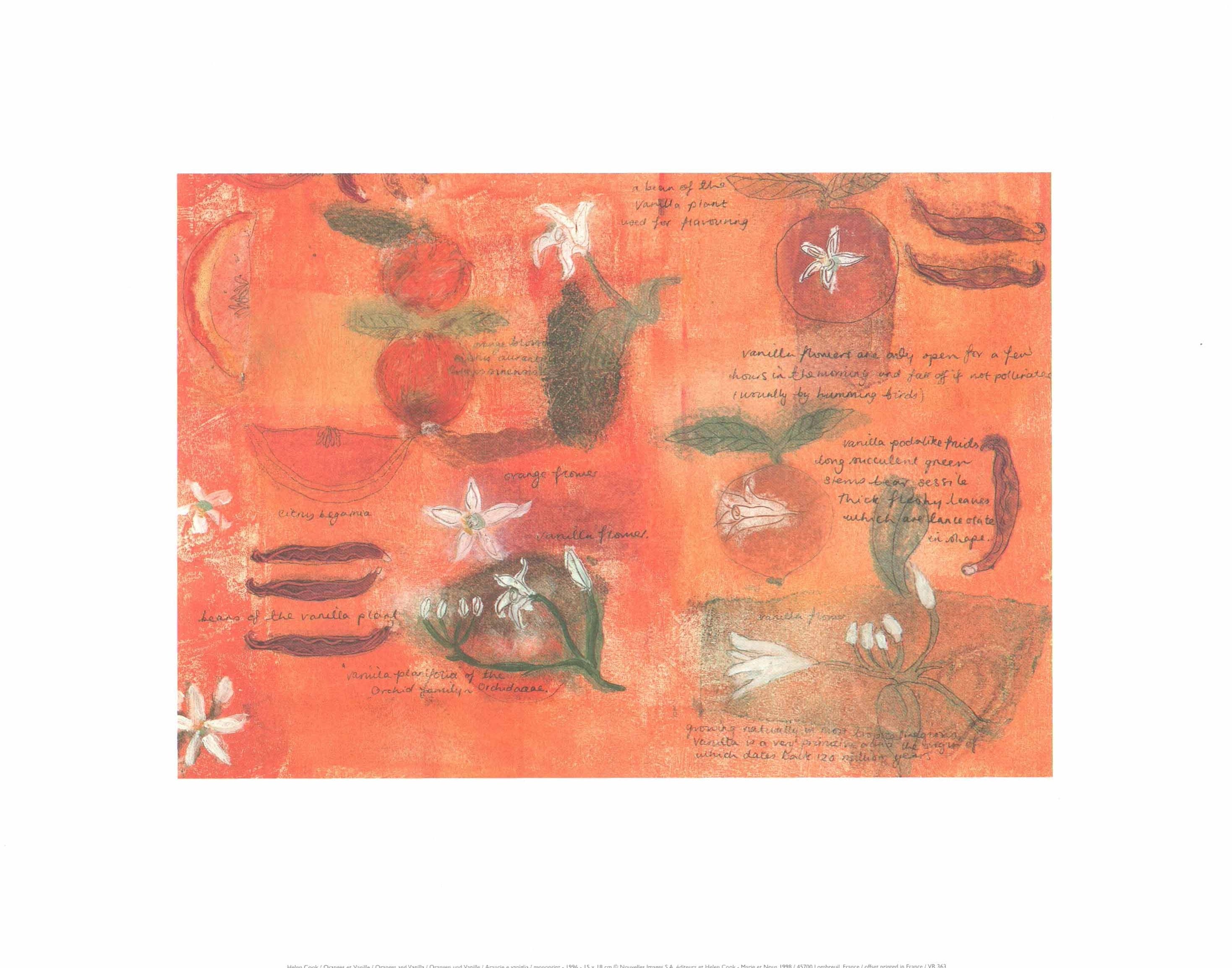 Oranges et Vanille, 1996 by Helen Cook - 16 X 20 Inches (Art Print ...