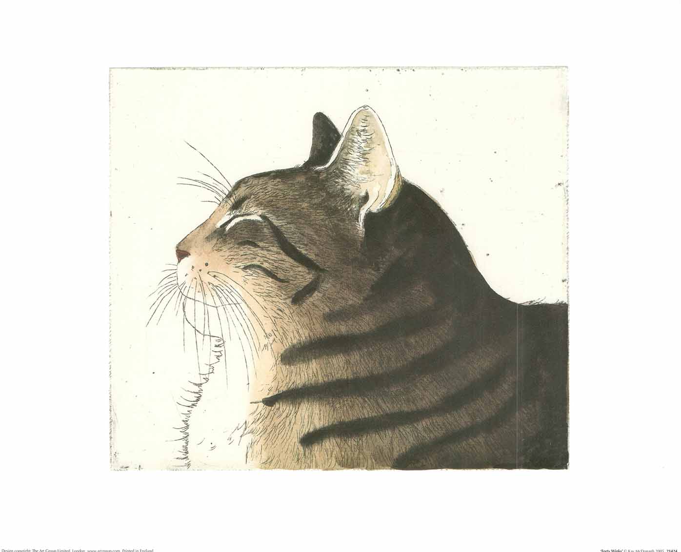 Forty Winks by Kay McDonagh - 16 X 20 Inches (Art Print) – Artistica ...