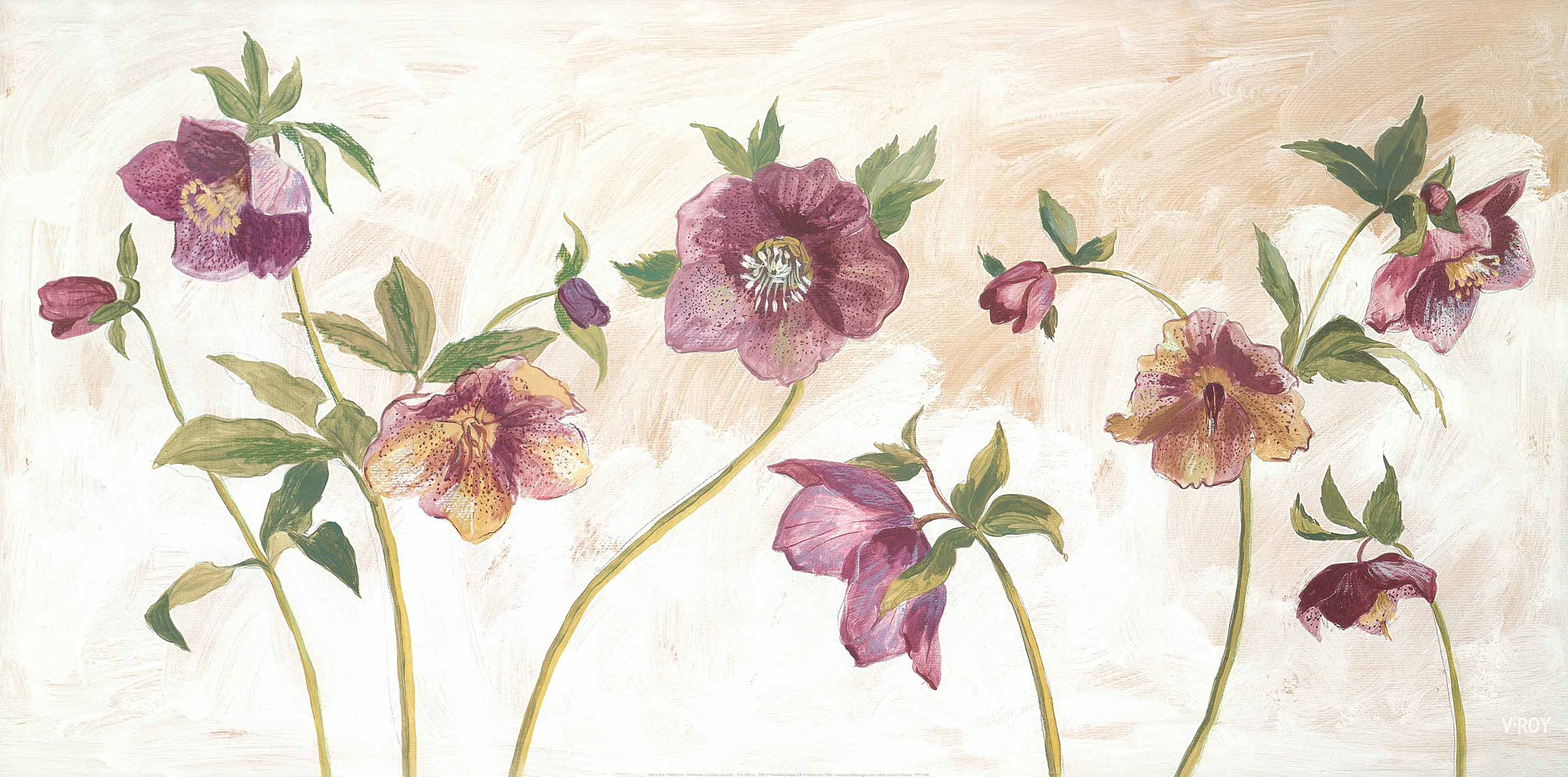Valerie Roy - Hellebores – Artistica Fine Art